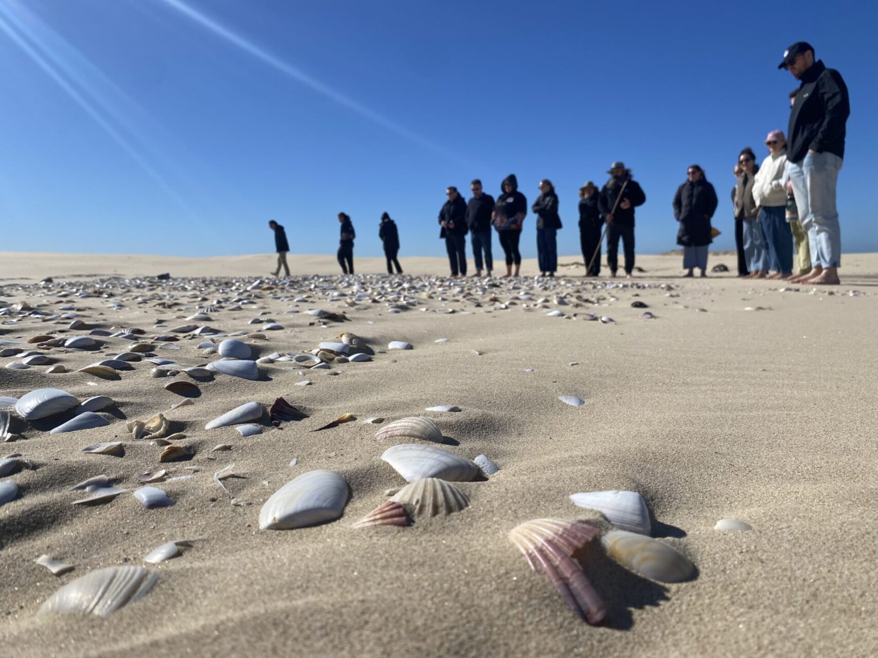 Murrook Cultural Training - Hunter Joint Organisation